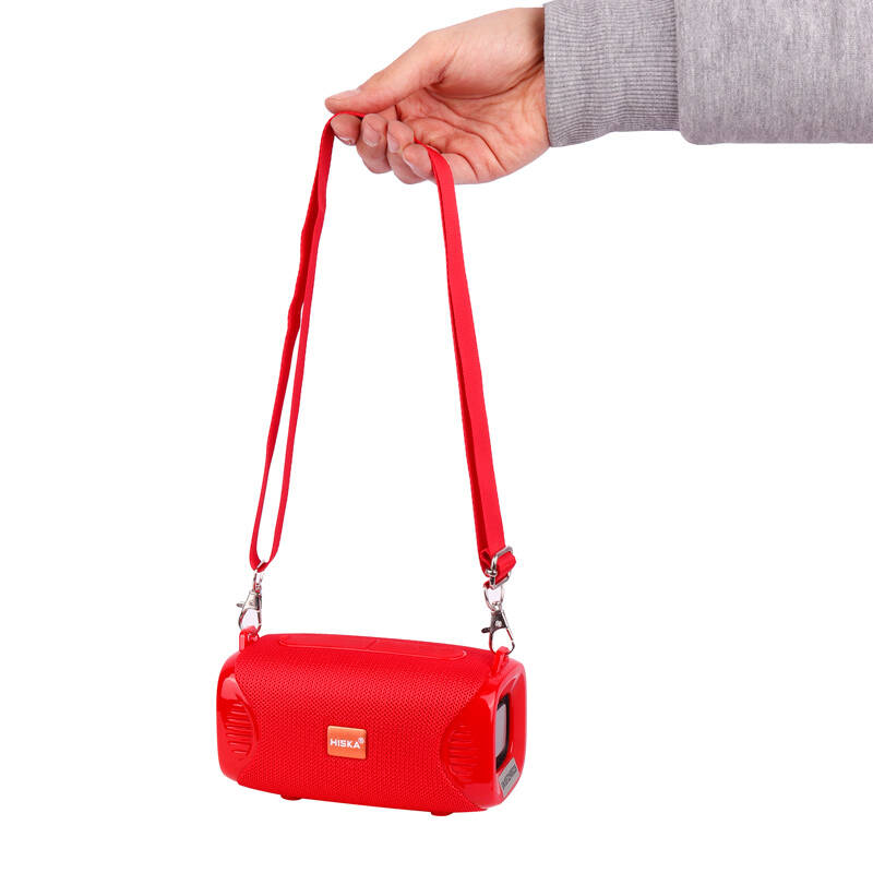 اسپیکر بلوتوثی رم و فلش خور قابل حمل هیسکا HISKA مدل B191